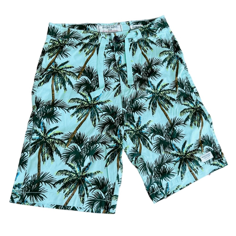 Vintage Genes Slim Fit Men Shorts - Gem